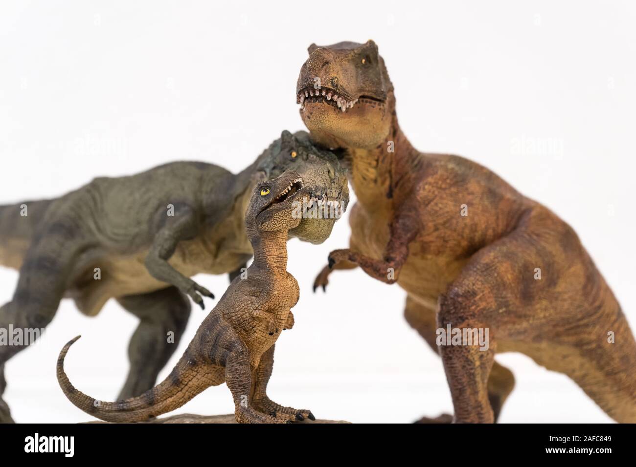 Family of Tyrannosaurus rex with baby tyrannosaurus rex isolated on ...