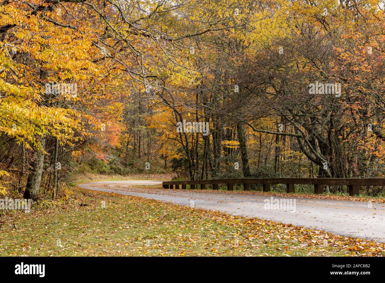 Autumn road in Great Smoky Mountains National Park with colorful leaves ...