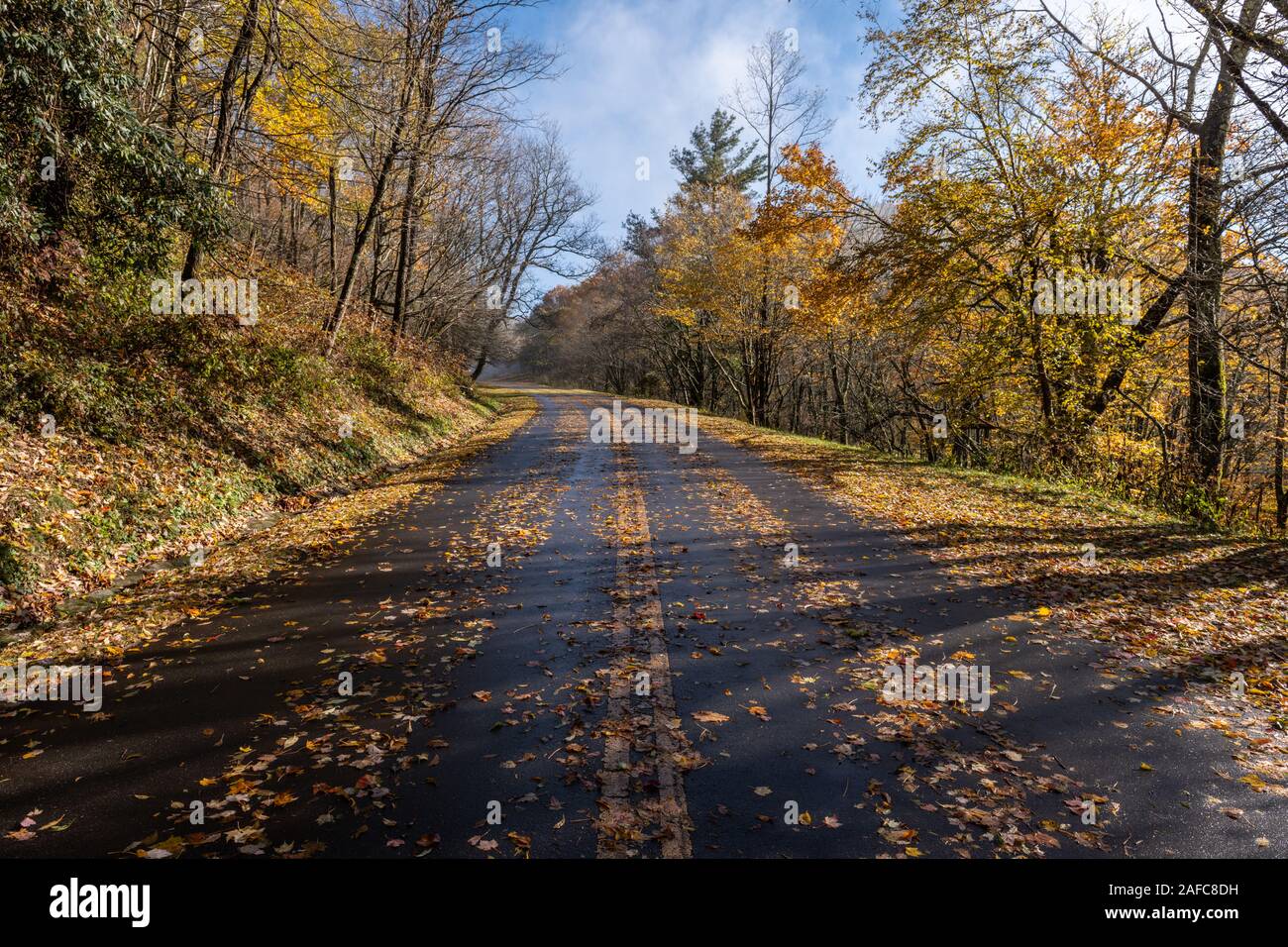 Autumn road in Great Smoky Mountains National Park with colorful leaves ...