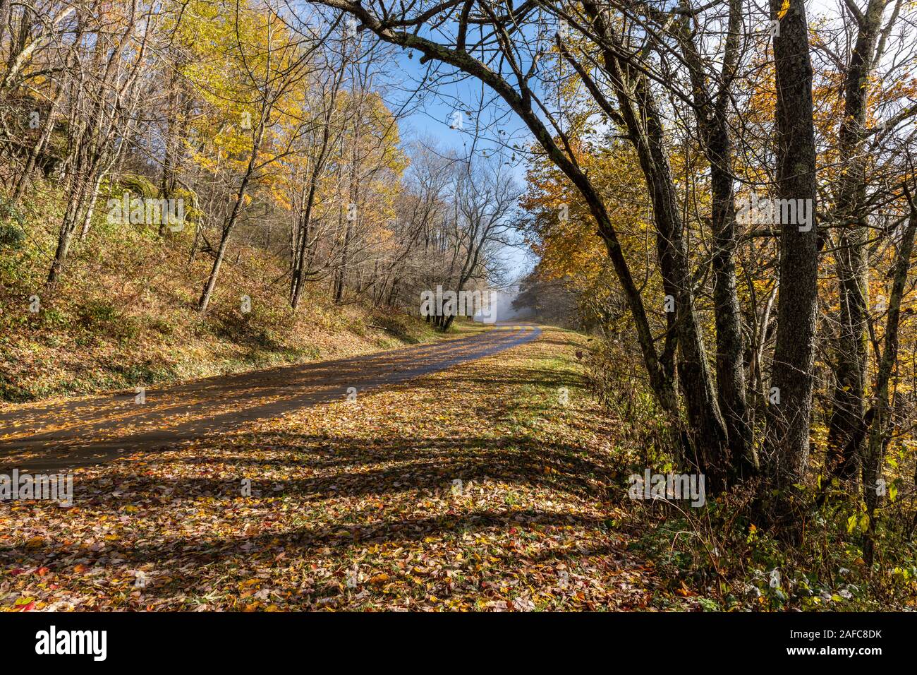 Autumn road in Great Smoky Mountains National Park with colorful leaves ...