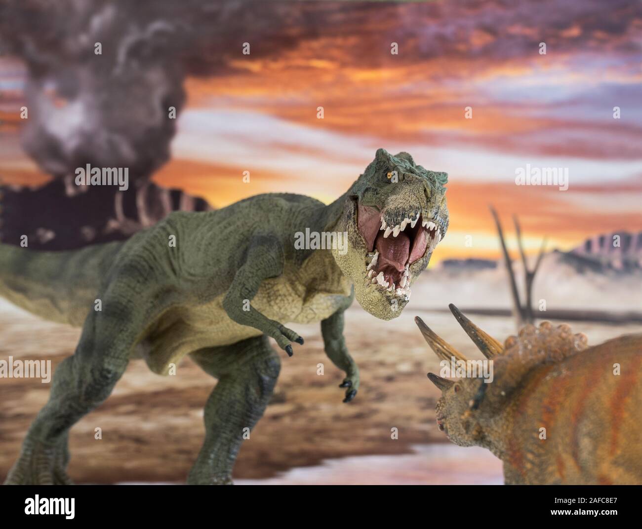 Tyrannosaurus rex and triceratops hi-res stock photography and images ...