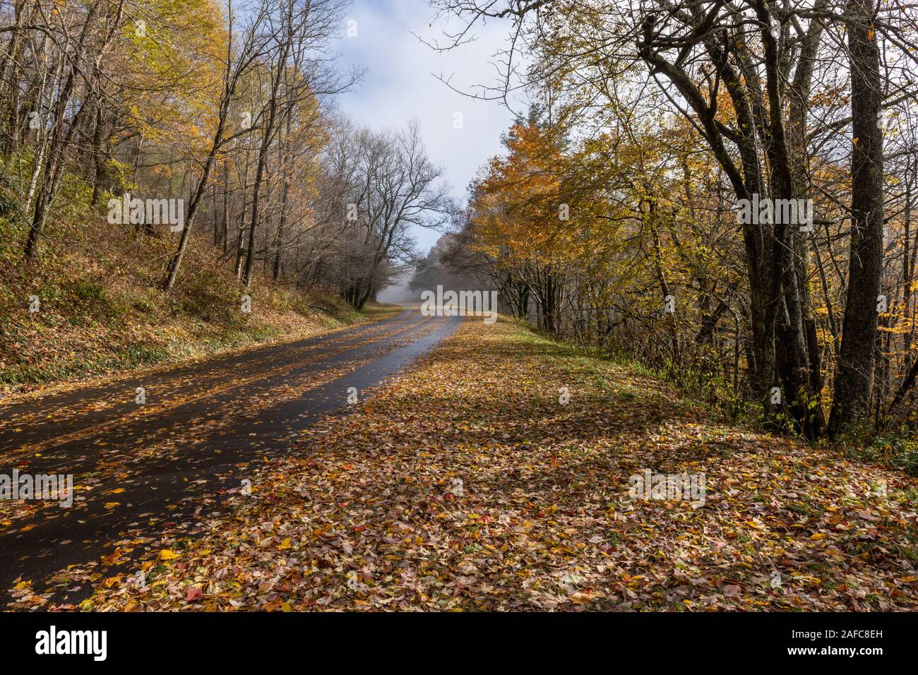 Autumn road in Great Smoky Mountains National Park with colorful leaves ...