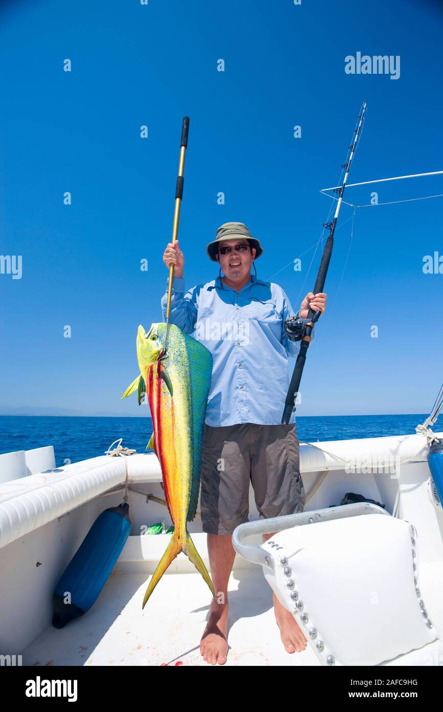 Freshly caught mahi mahi hi-res stock photography and images - Alamy