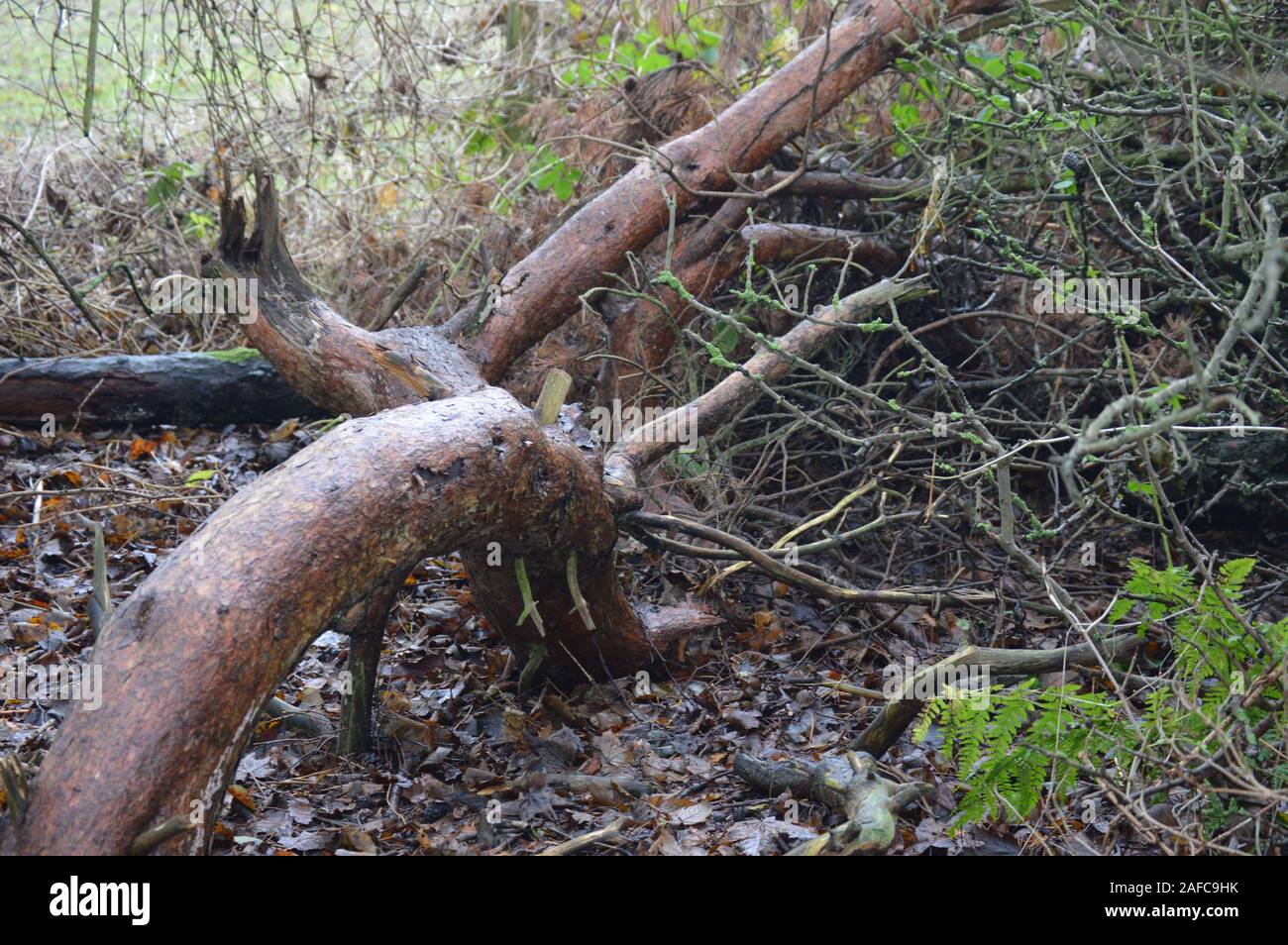 Pipeland hi-res stock photography and images - Alamy