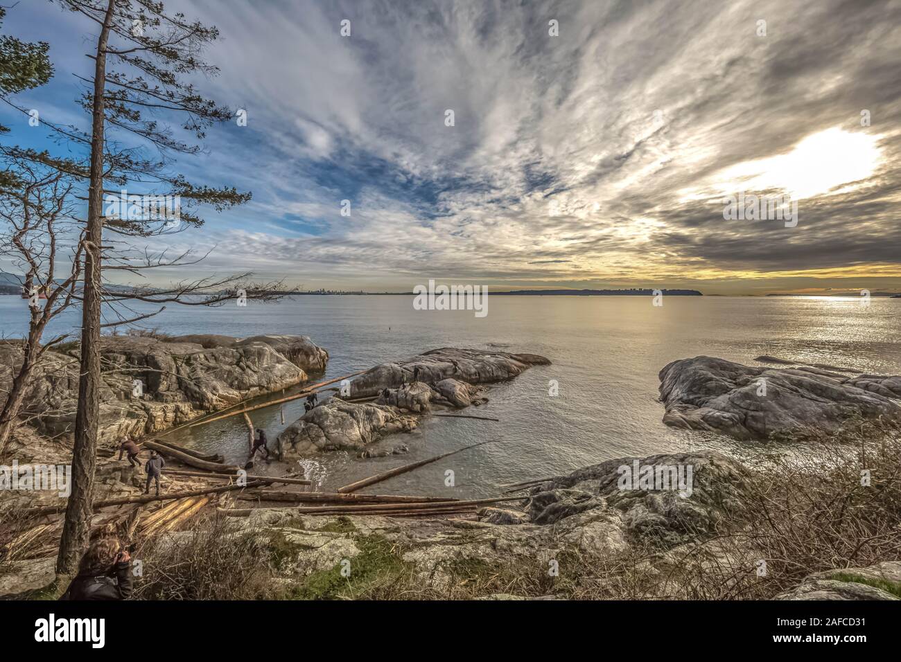 Many big woods floating in the water hi-res stock photography and ...