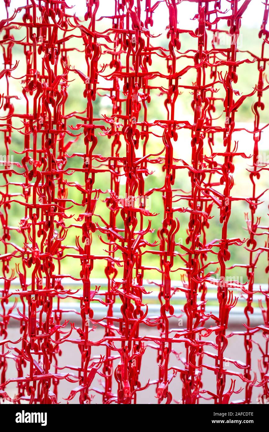 plastic hangers hang persimmons for common drying Stock Photo - Alamy