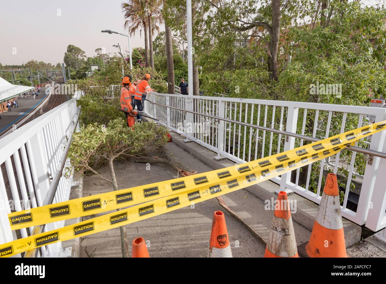 Sydney Aust Nov 26th 2019: Trees being cleared at Gordon station after ...