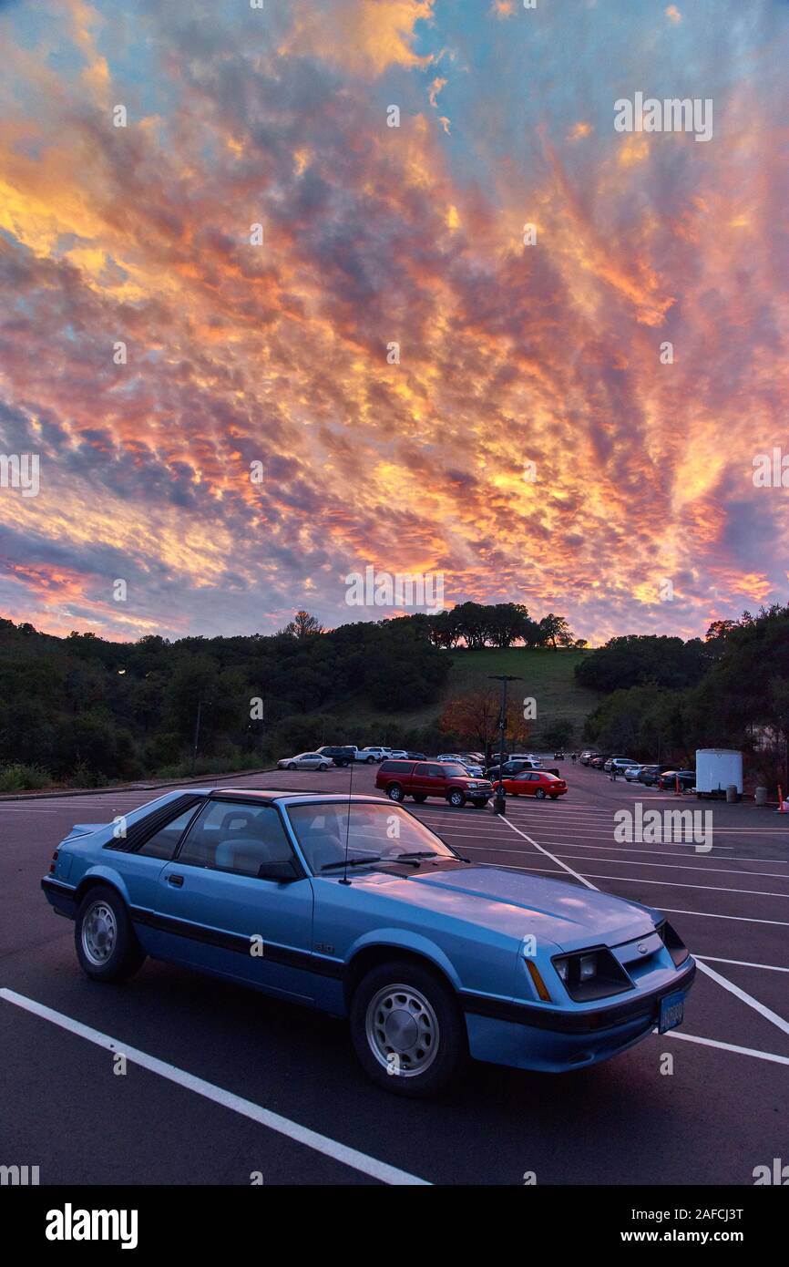 Ford cars parking lot hi-res stock photography and images - Alamy