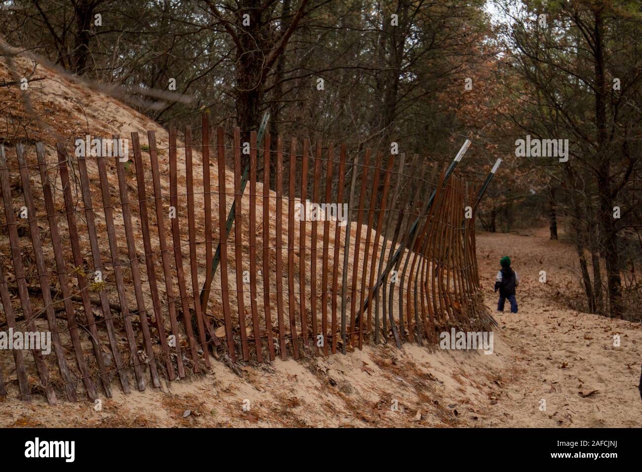 Indiana Dunes state and national park in the fall Stock Photo - Alamy