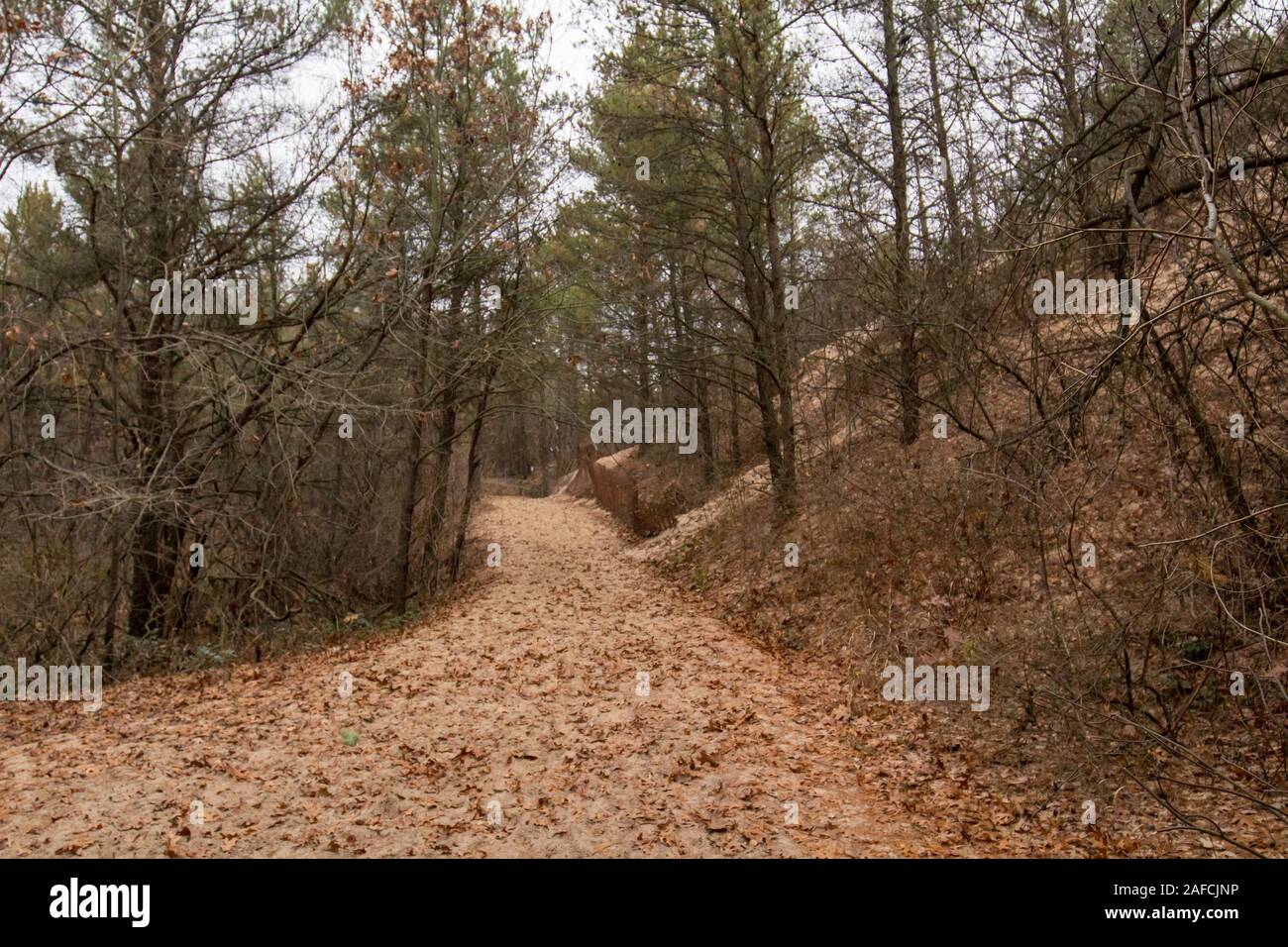 Indiana Dunes state and national park in the fall Stock Photo - Alamy
