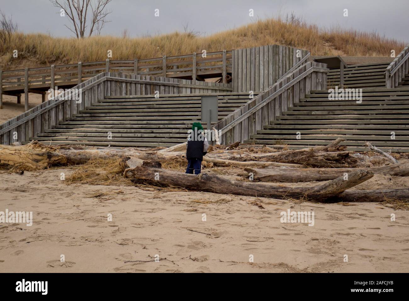 Indiana Dunes state and national park in the fall Stock Photo - Alamy