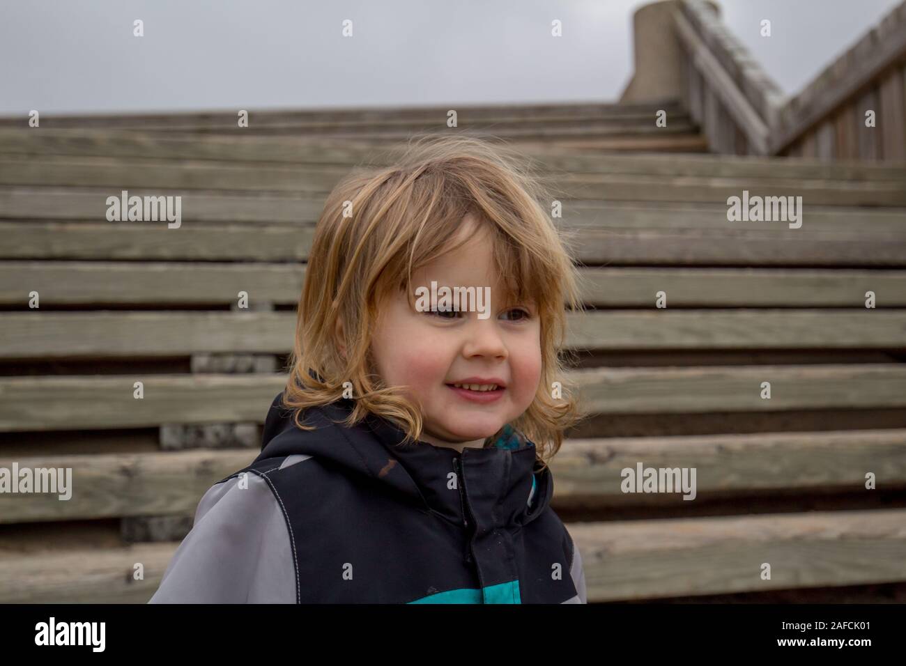 Indiana Dunes state and national park in the fall Stock Photo - Alamy