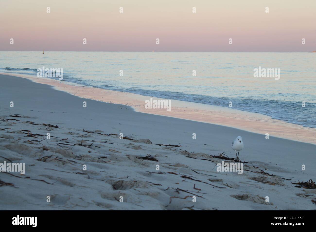 Pinnaroo point beach hi-res stock photography and images - Alamy