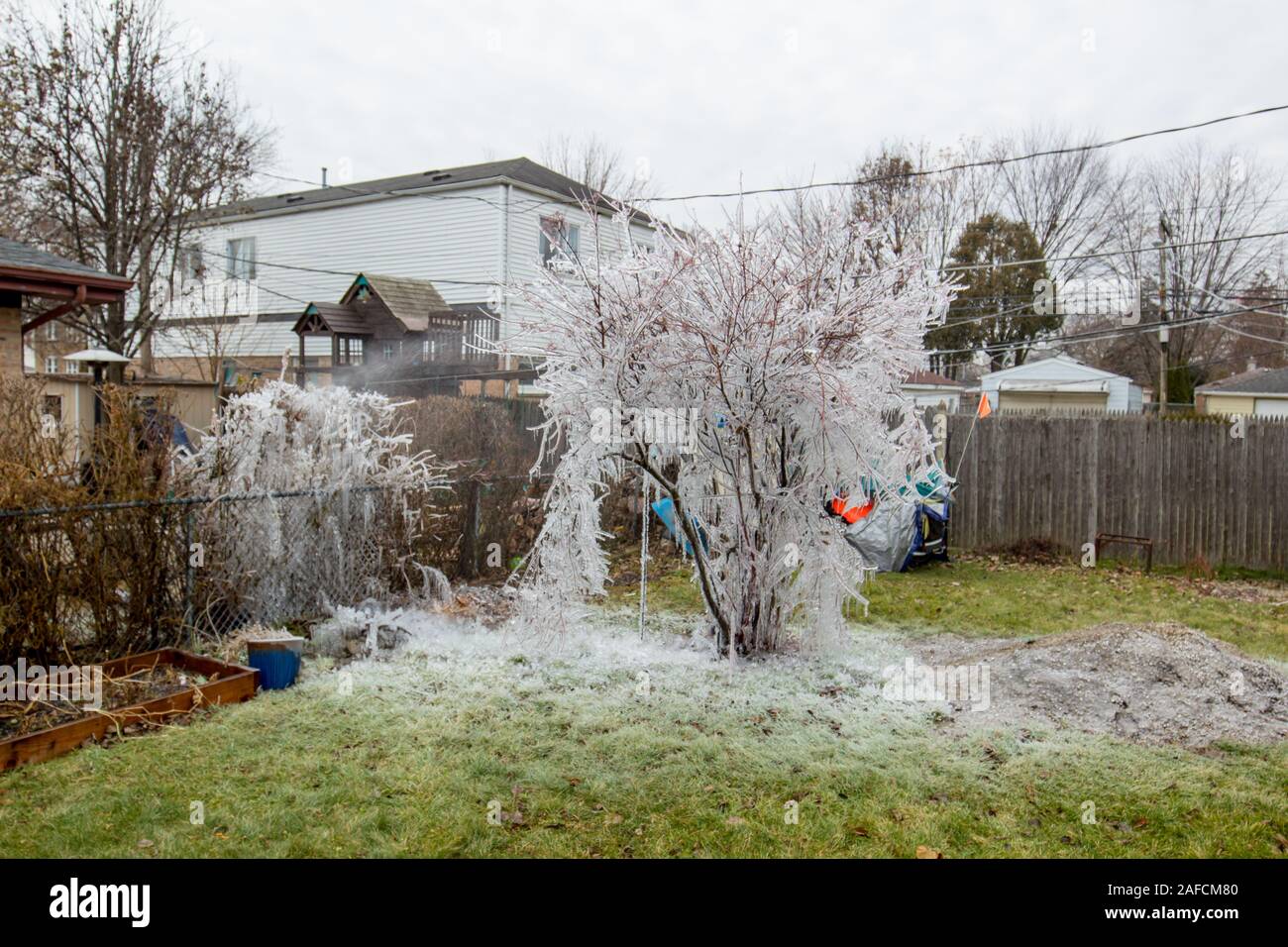 Iced over tree Stock Photo - Alamy