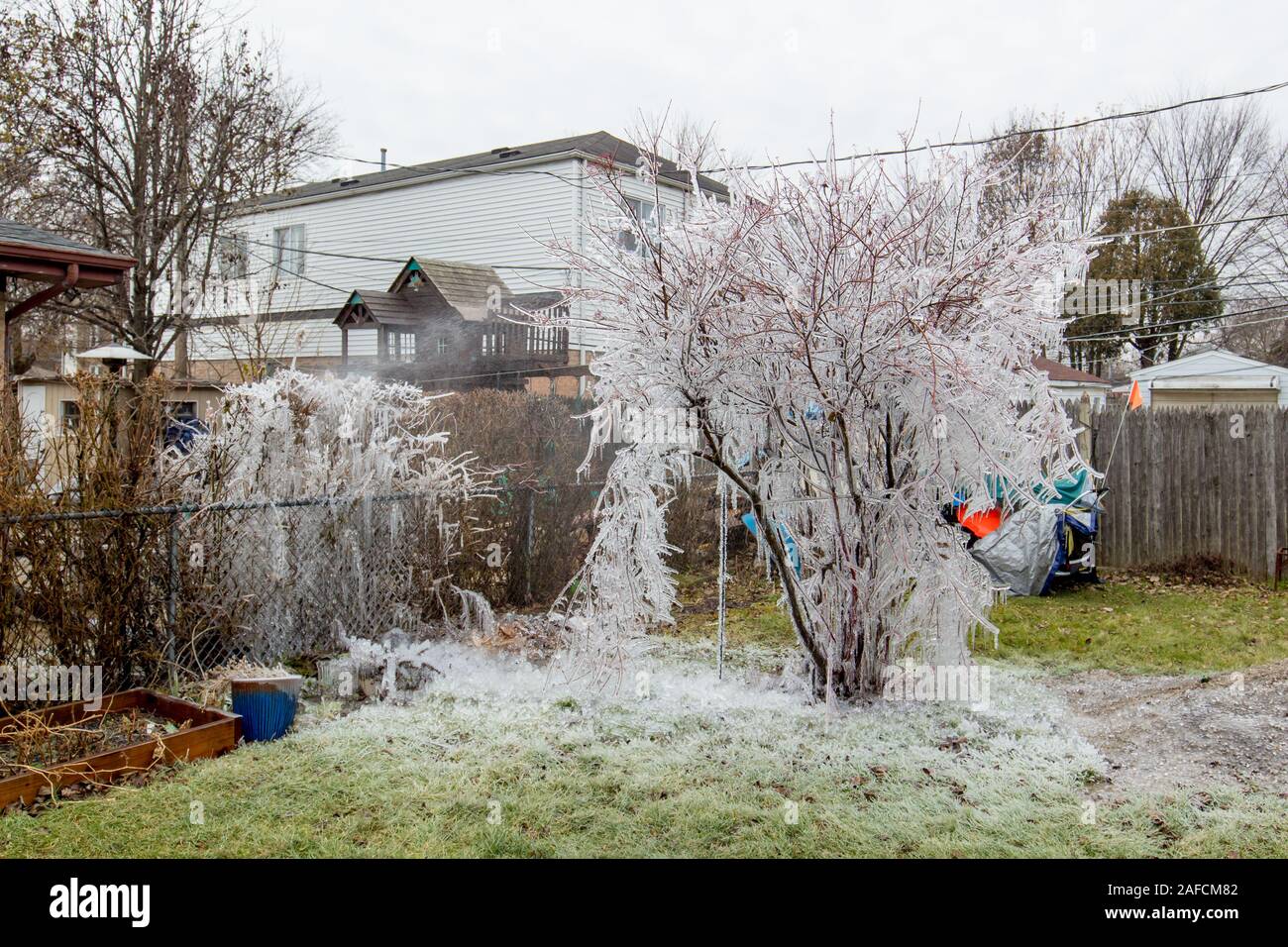 Iced over tree Stock Photo - Alamy