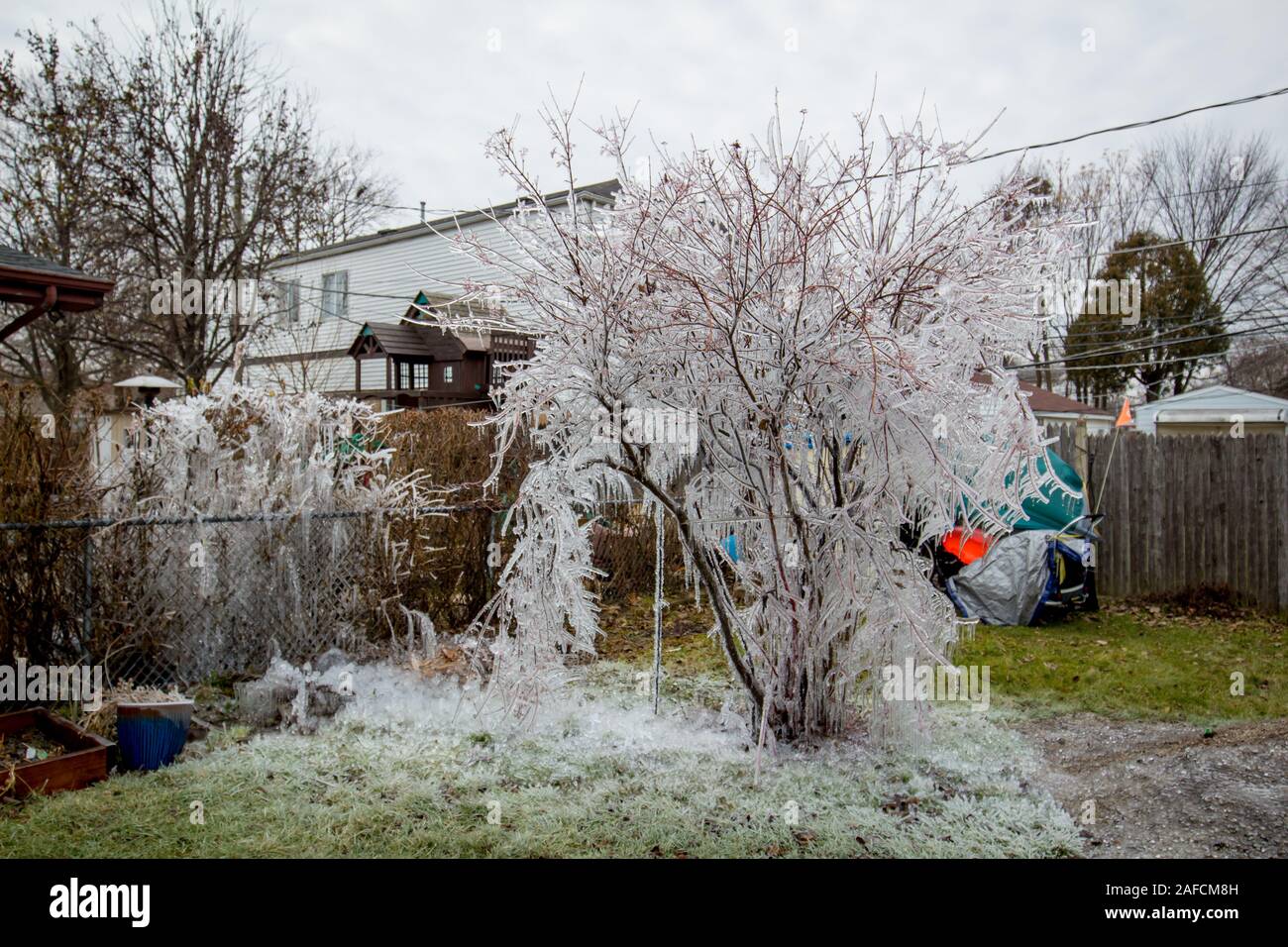 Iced over tree Stock Photo - Alamy