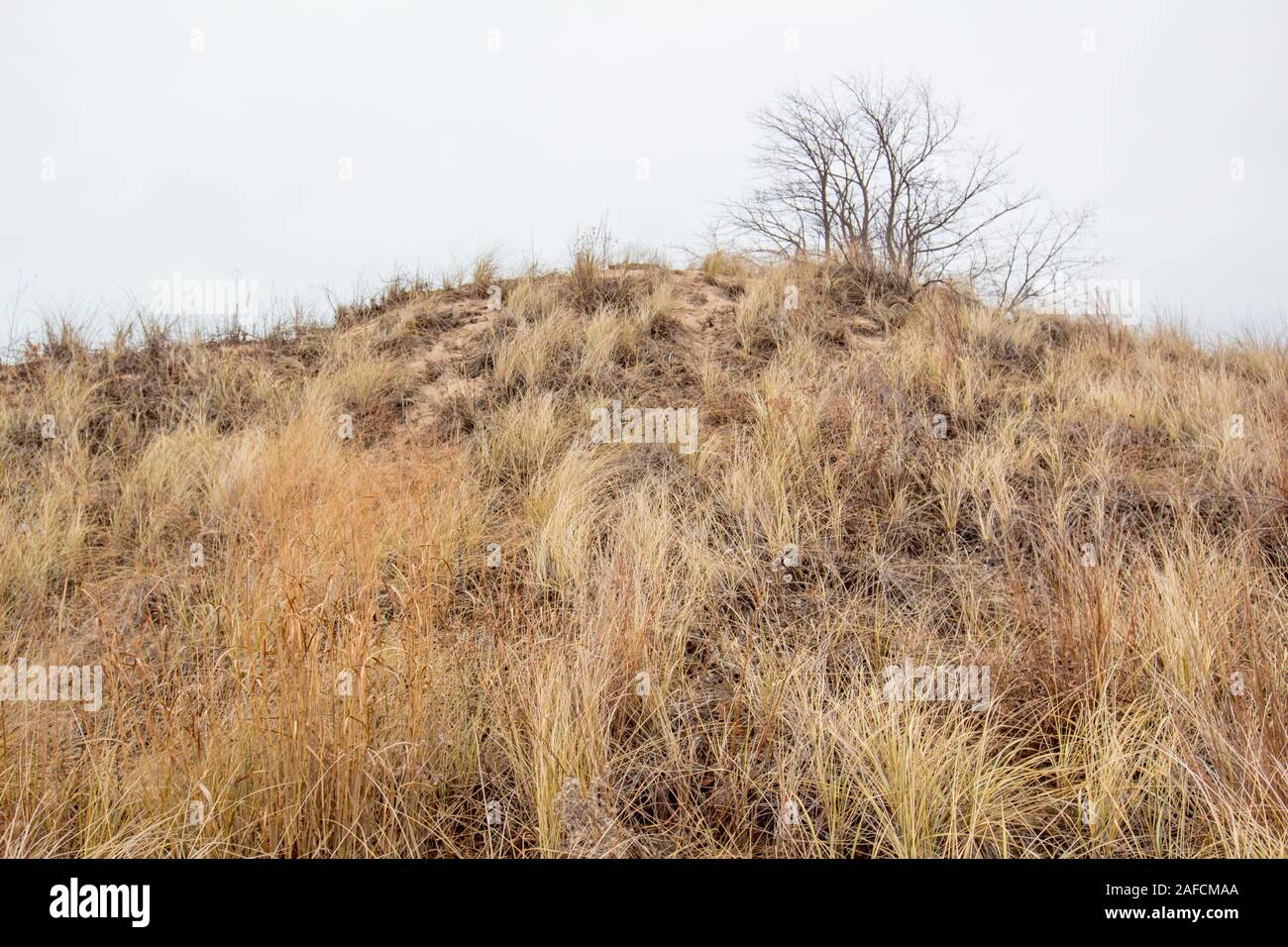 Indiana Dunes state and national park in the fall Stock Photo - Alamy