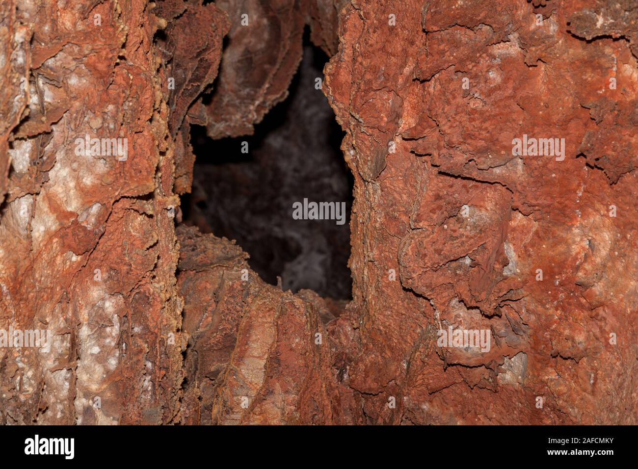 A hole in a cave wall with detailed features of boxwork structure ...