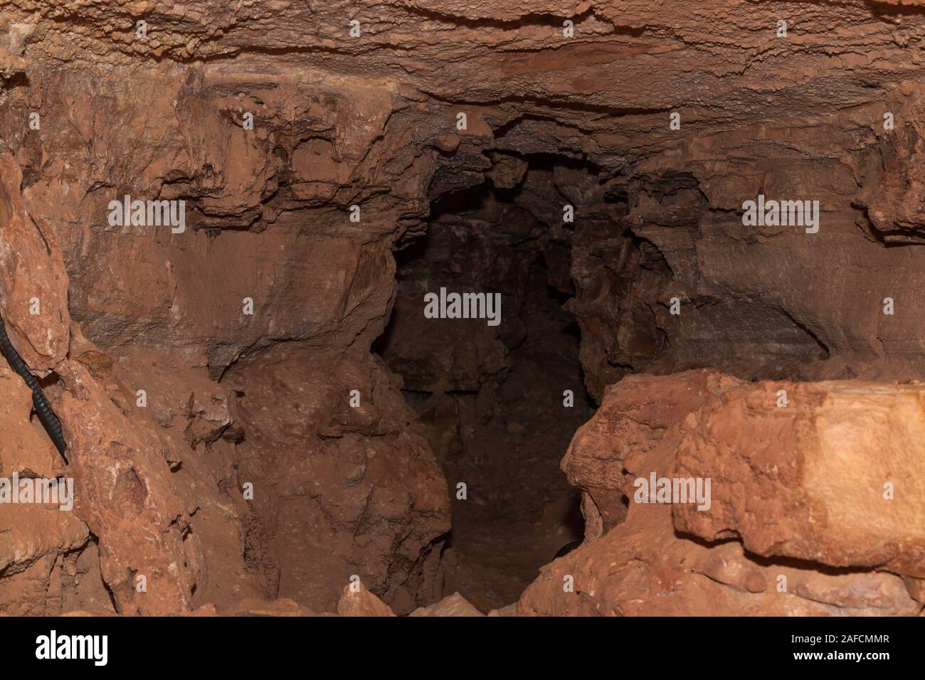 Cave branch hi-res stock photography and images - Alamy