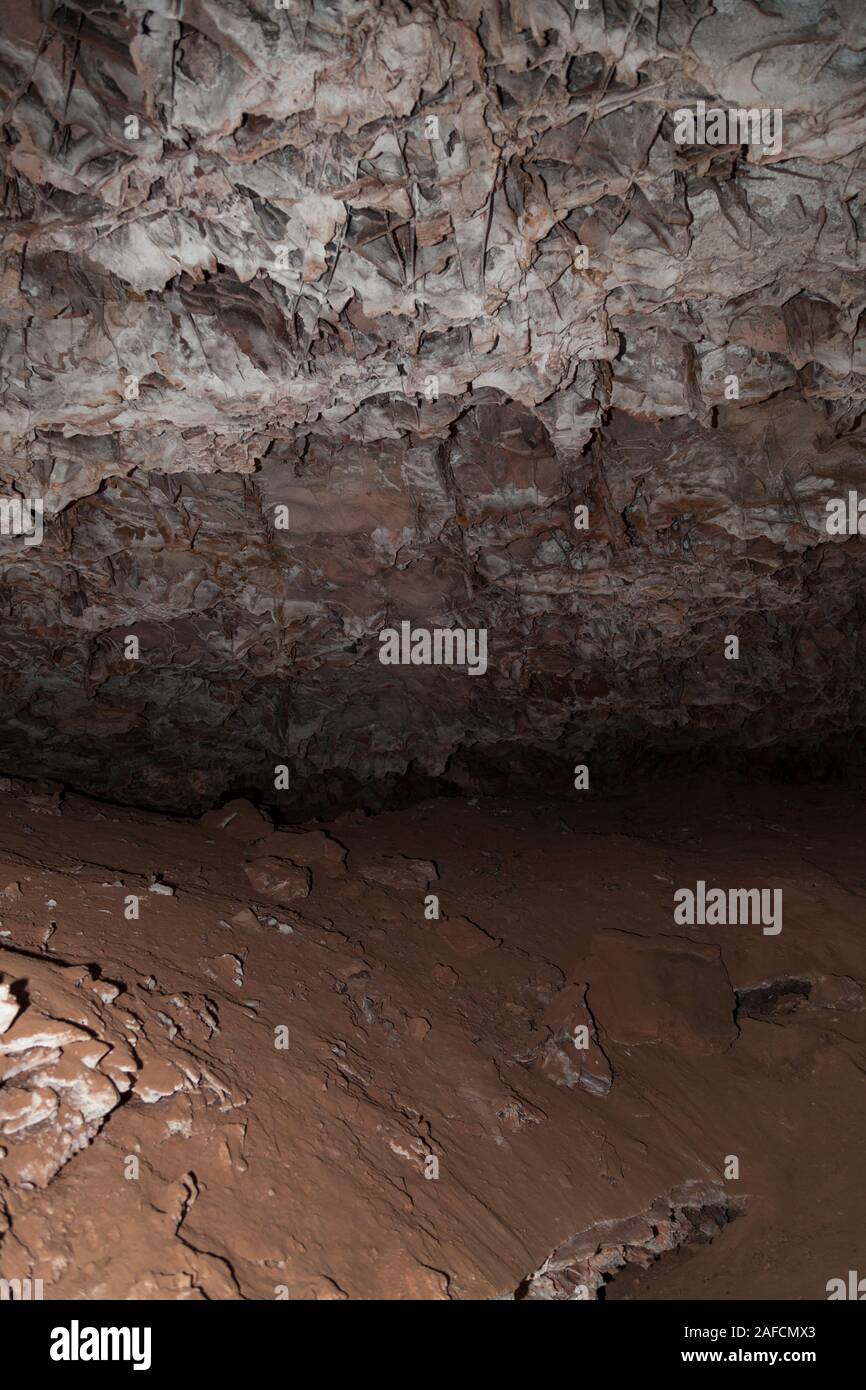Detailed box work ceiling formations in brown and white at Wind Cave ...