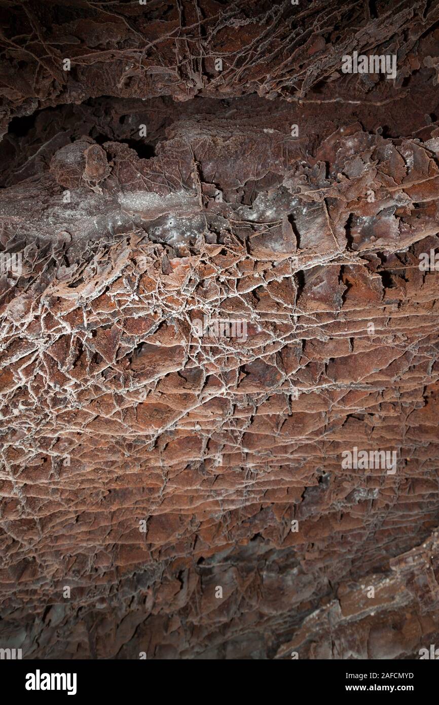 Detailed box work ceiling formations in brown and white at Wind Cave ...