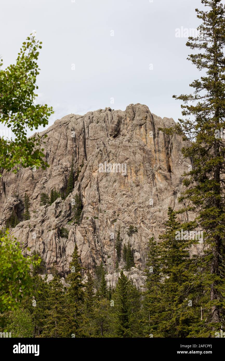 A large quartz rock formation lit by the sun framed by green trees and ...