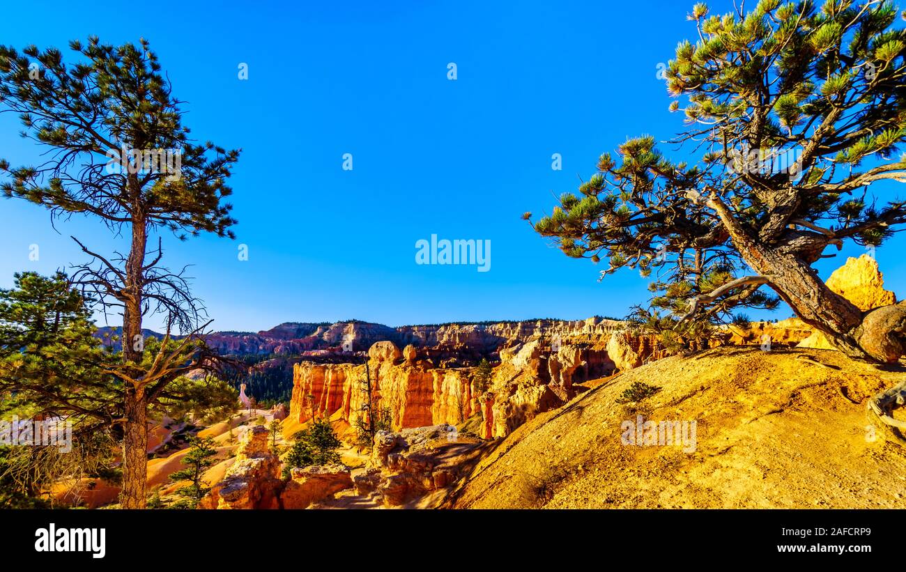 Sunrise over the Vermilion Colored Hoodoos along the Navajo Trail in ...