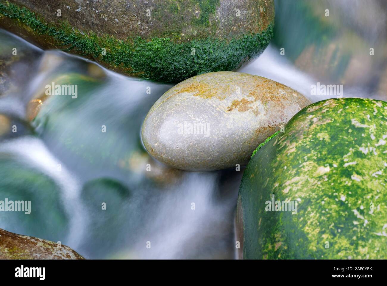 Wet shiny coastal pebbles, coastal pebbles, beach pebbles Stock Photo ...