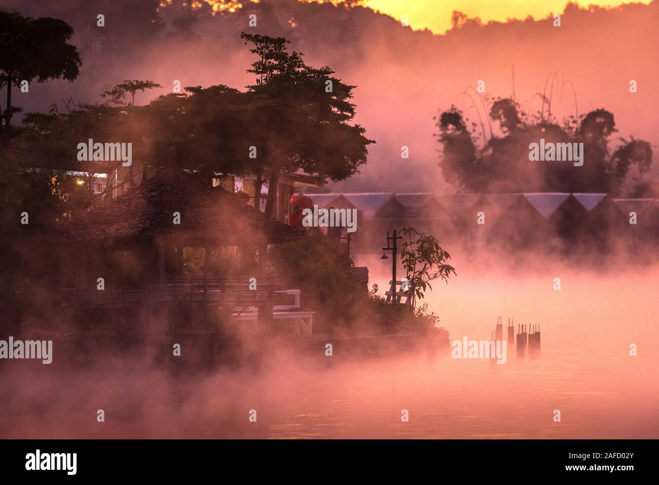 Ban hong forest hi-res stock photography and images - Alamy