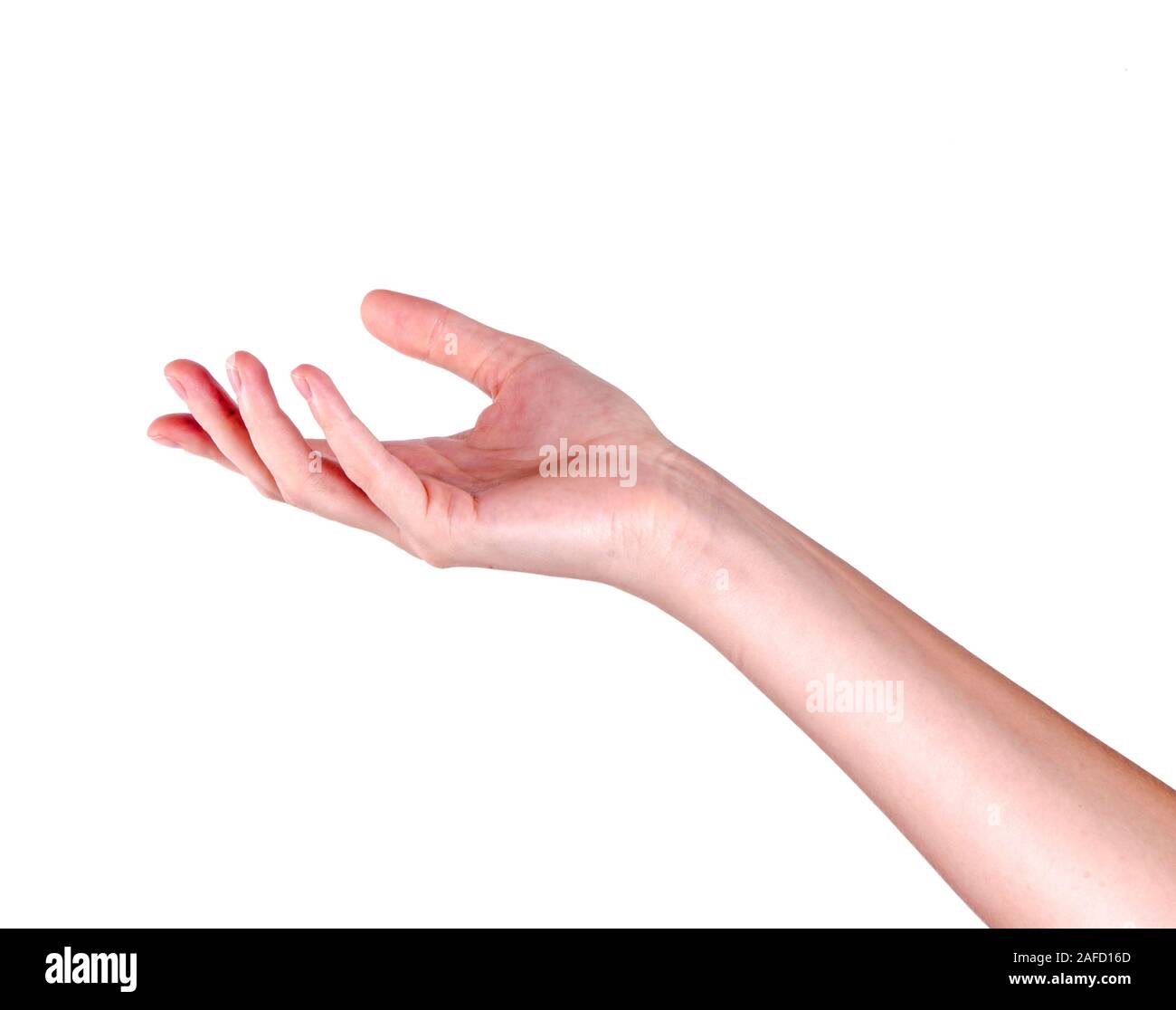 Woman hand isolated on white background Stock Photo - Alamy