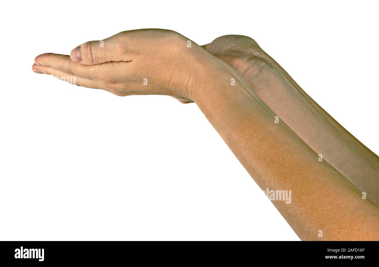 Woman hands isolated on white background Stock Photo - Alamy