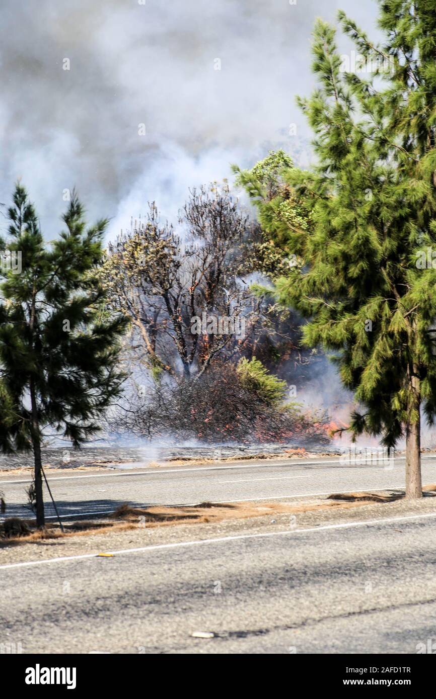 Australian Bush fire with water Bombers Stock Photo - Alamy