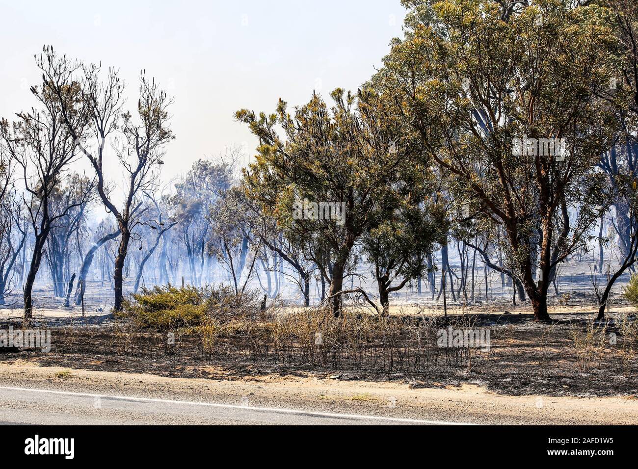 Australian Bush fire with water Bombers Stock Photo - Alamy