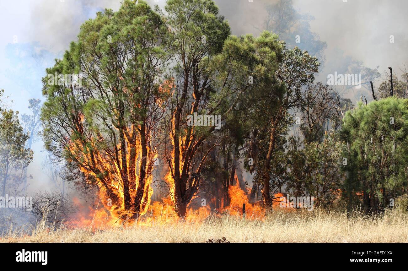 Australian Bush fire with water Bombers Stock Photo - Alamy