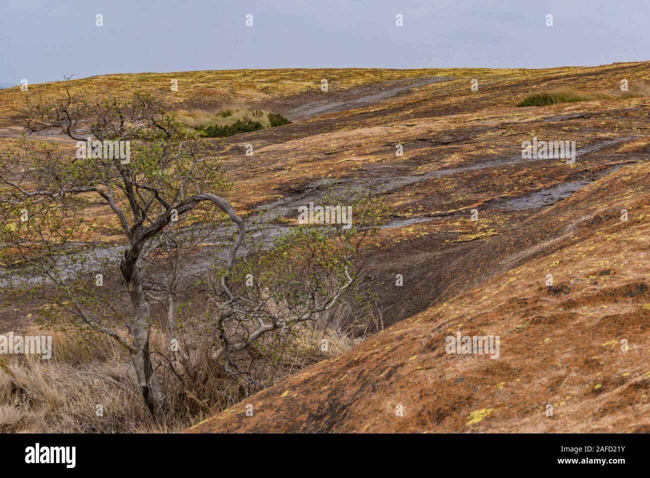 "World's view", Matobo Hills National Park, Zimbabwe. The place is ...
