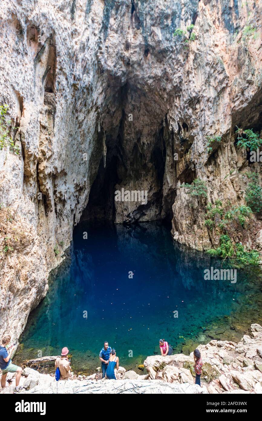 Sinoia hi-res stock photography and images - Alamy