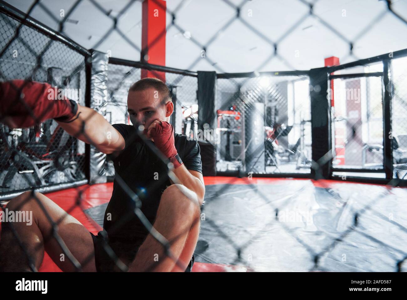 From down position. Young boxer in red bandages have exercise. In the ...