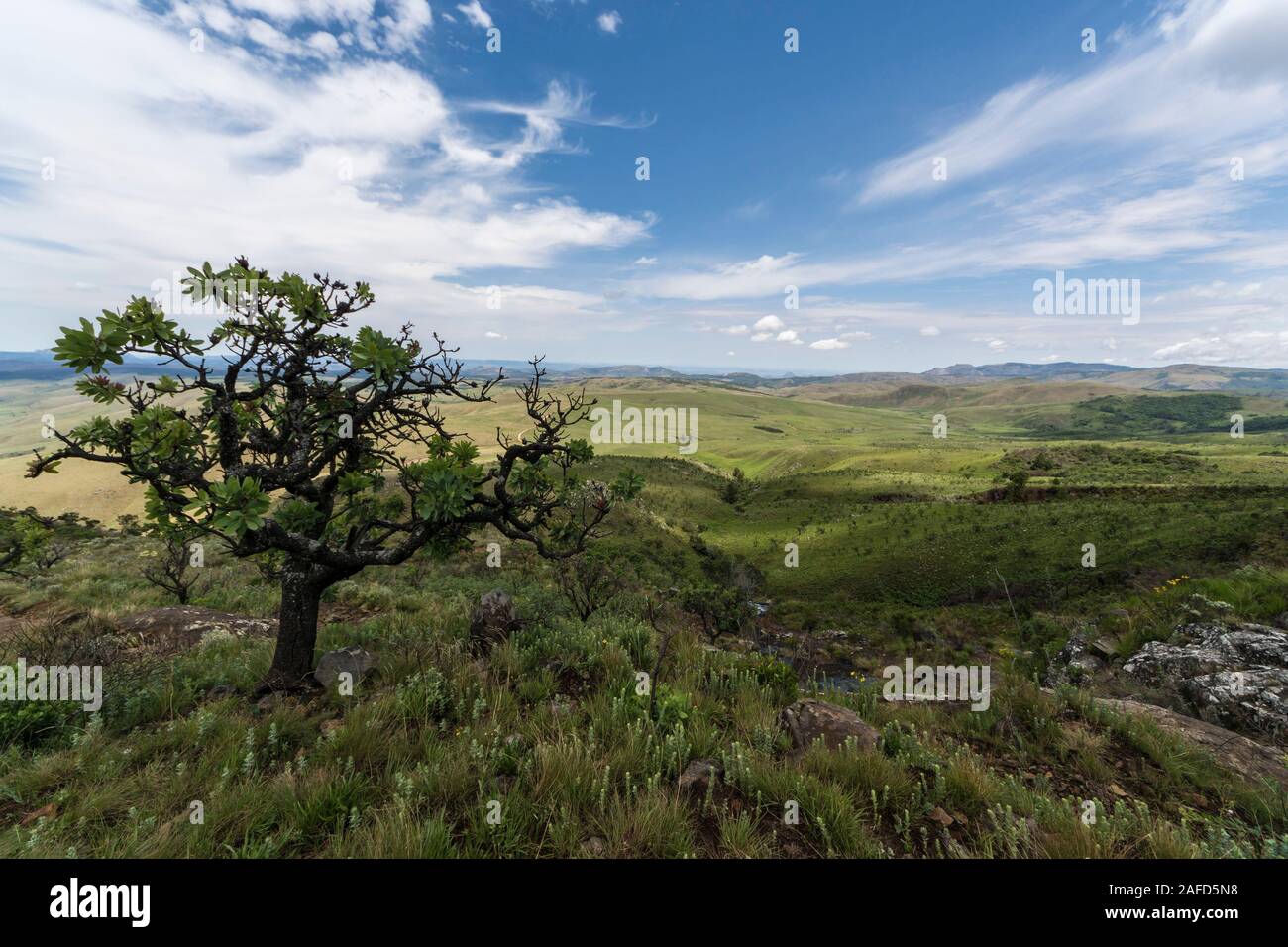 Nyangani mountain hi-res stock photography and images - Alamy