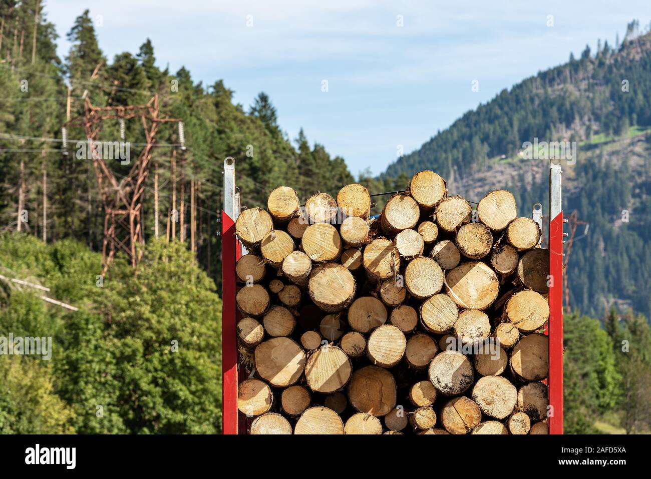 Close-up of a truck carrying wooden logs of pine trees in mountain ...