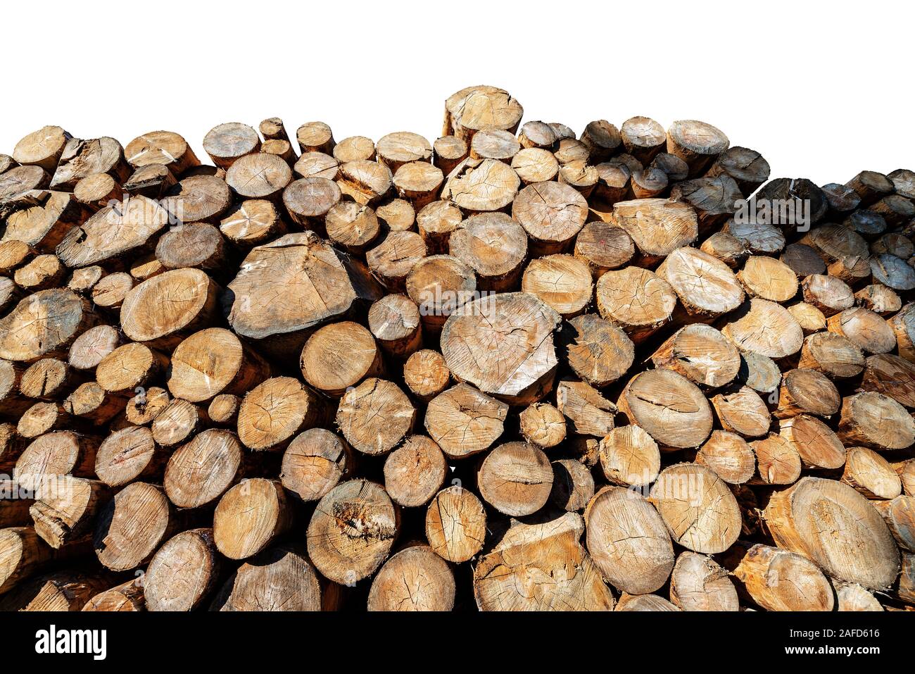 Group of tree trunks hi-res stock photography and images - Alamy