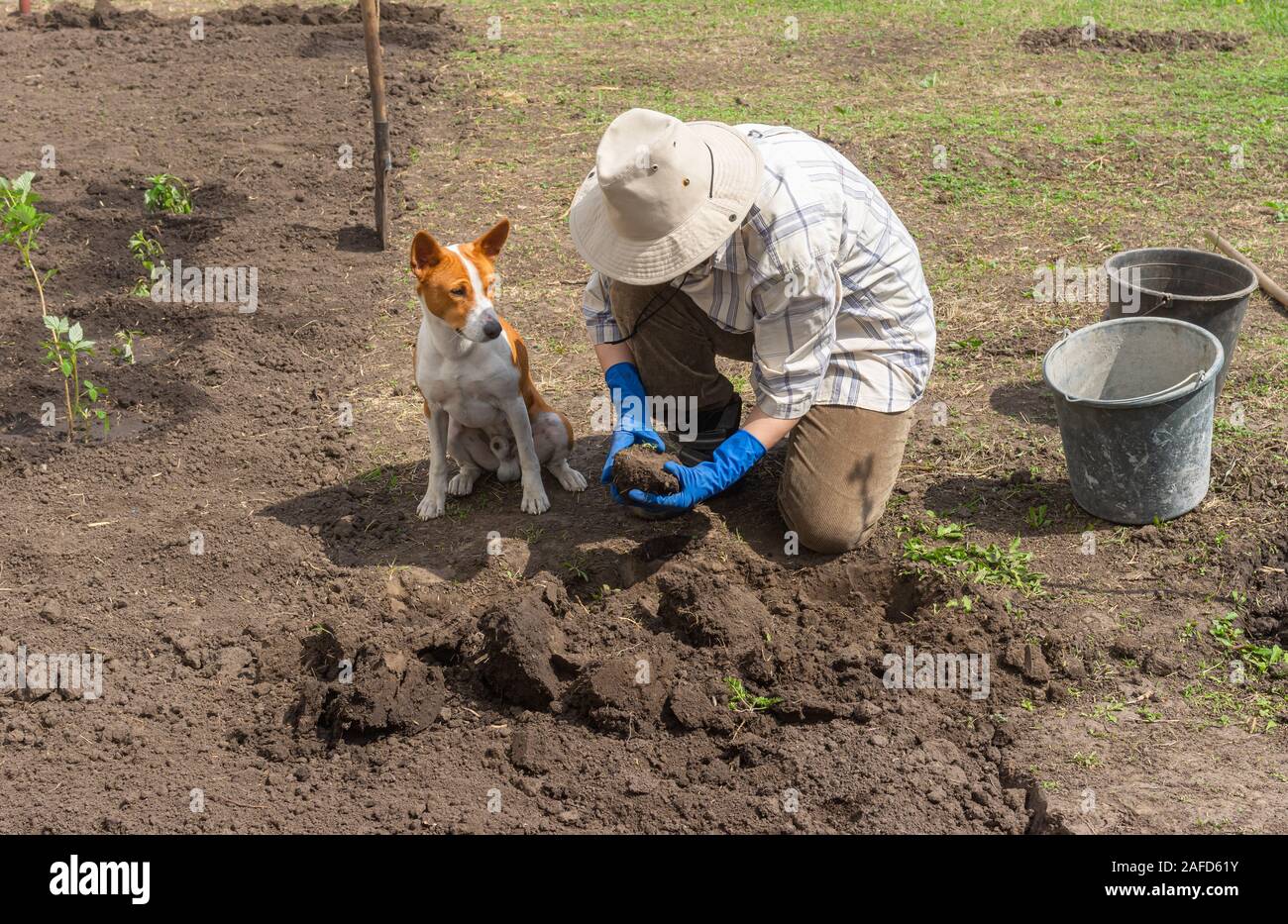 Master growth hi-res stock photography and images - Alamy