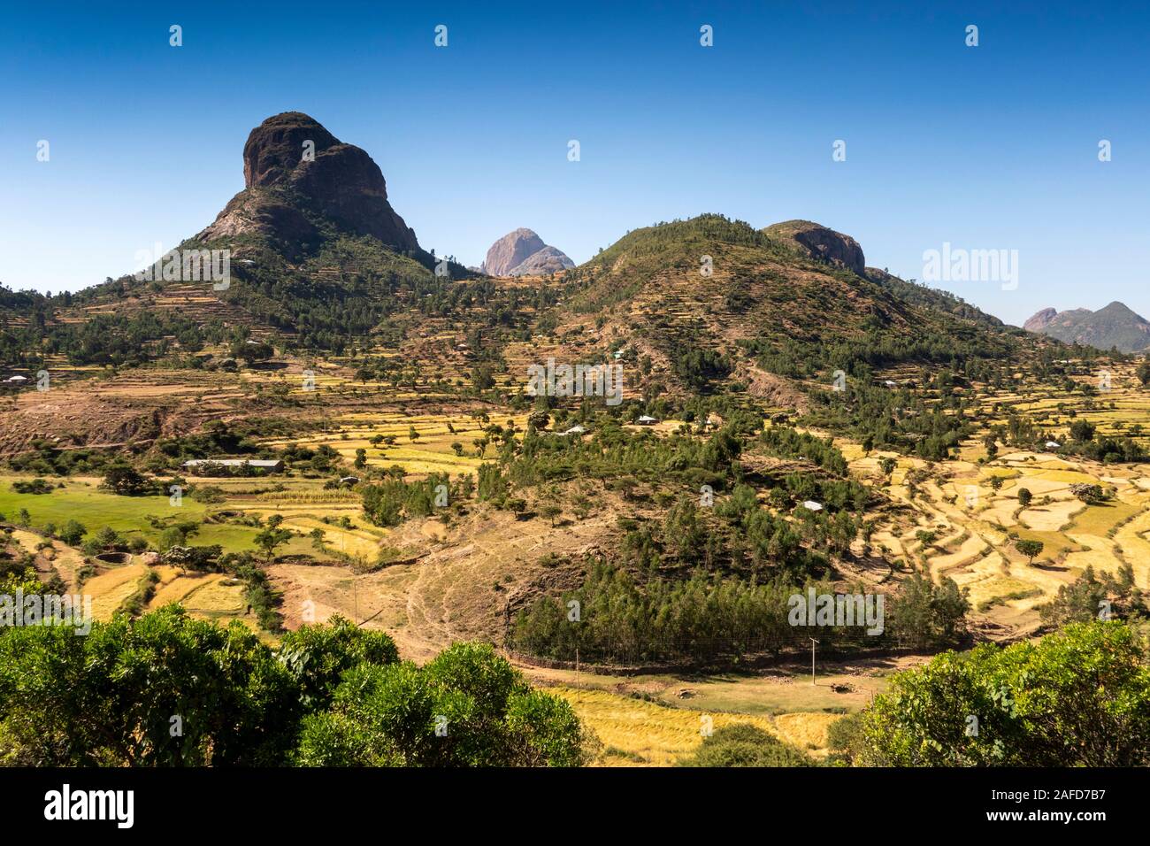 Bumper harvest africa hi-res stock photography and images - Alamy