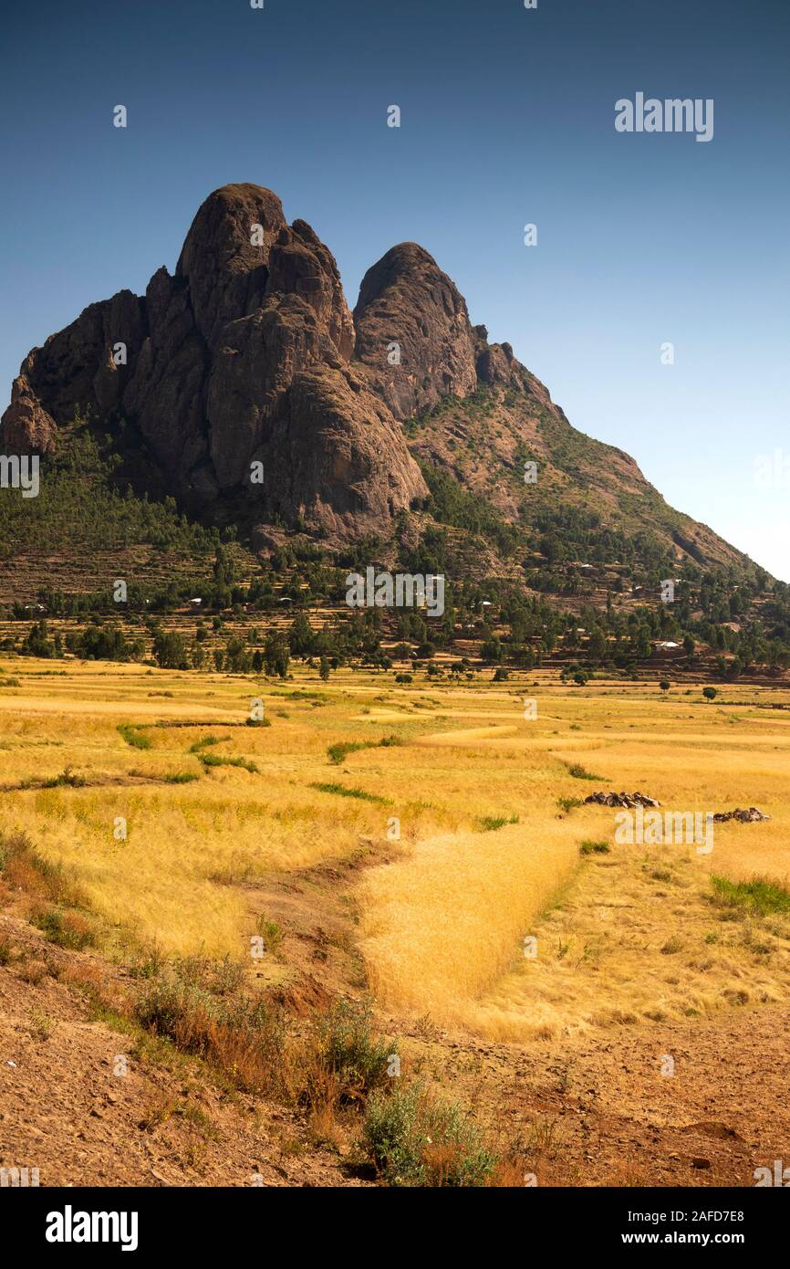 Ethiopia, Tigray, Adwa, Gendgbta, agricultural fields at harvest time ...