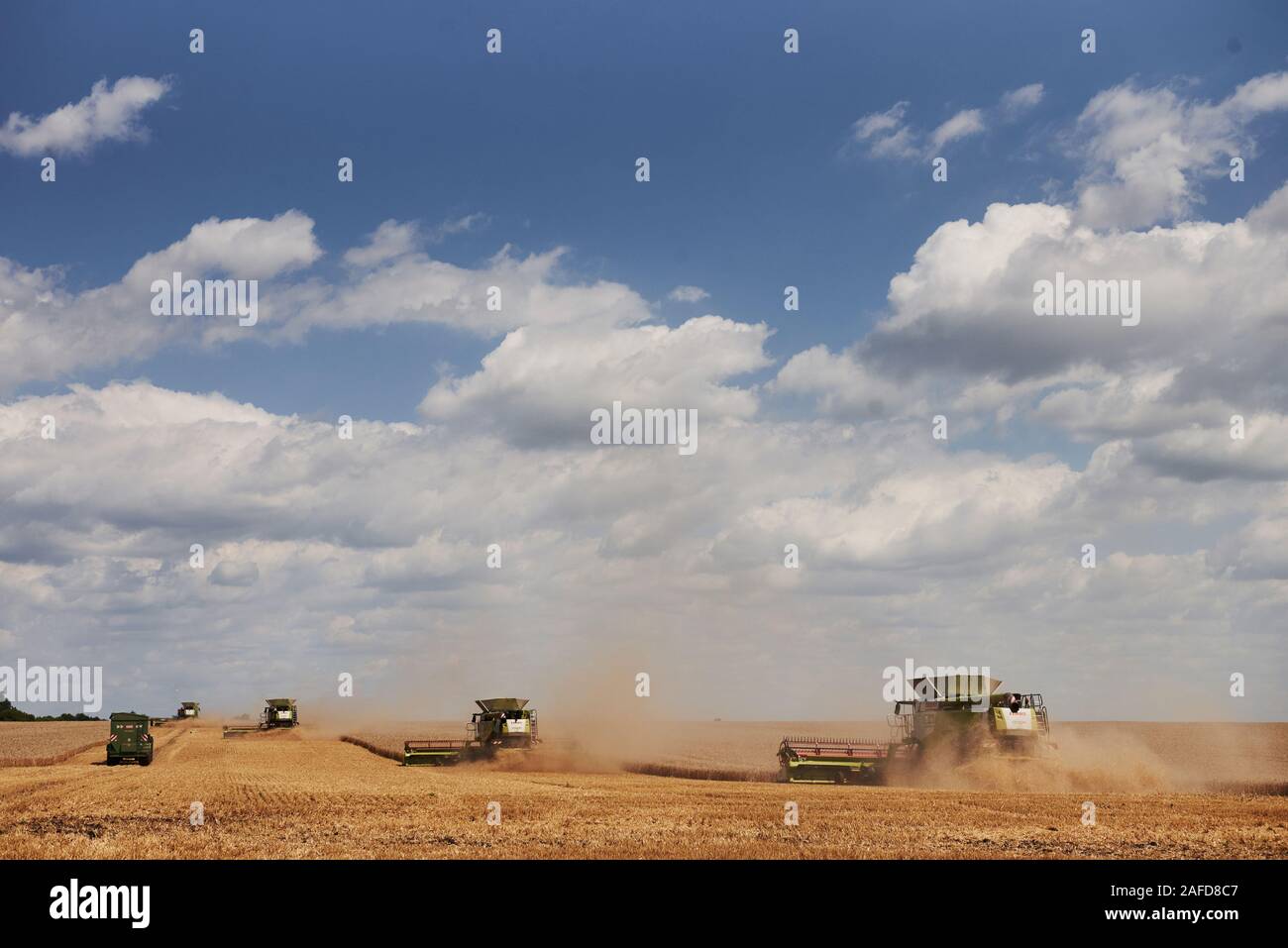 Large combine harvesters working in agriculturic field at summertime ...