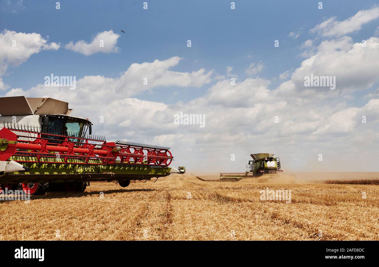 Large combine harvesters working in agriculturic field at summertime ...