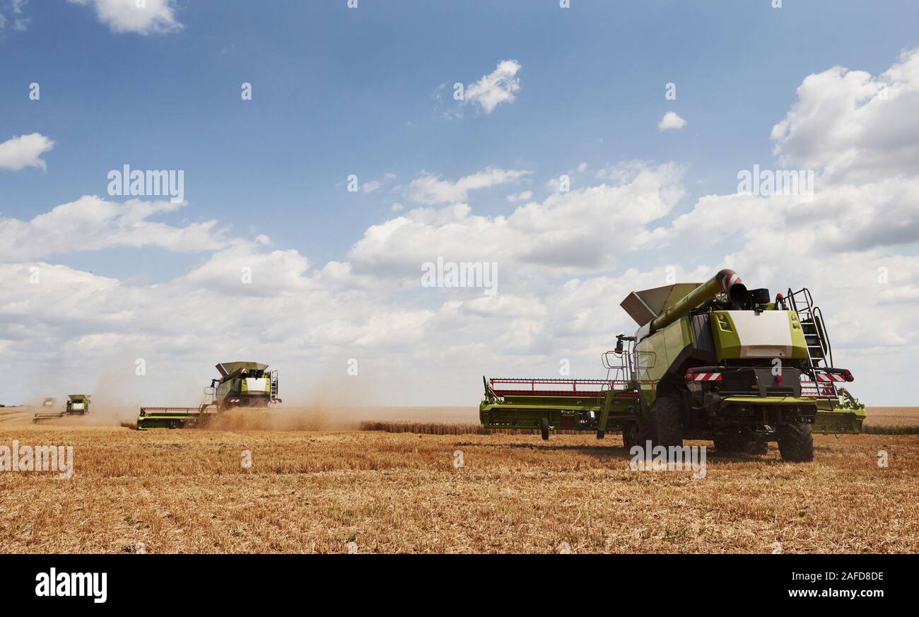 Large combine harvesters working in agriculturic field at summertime ...