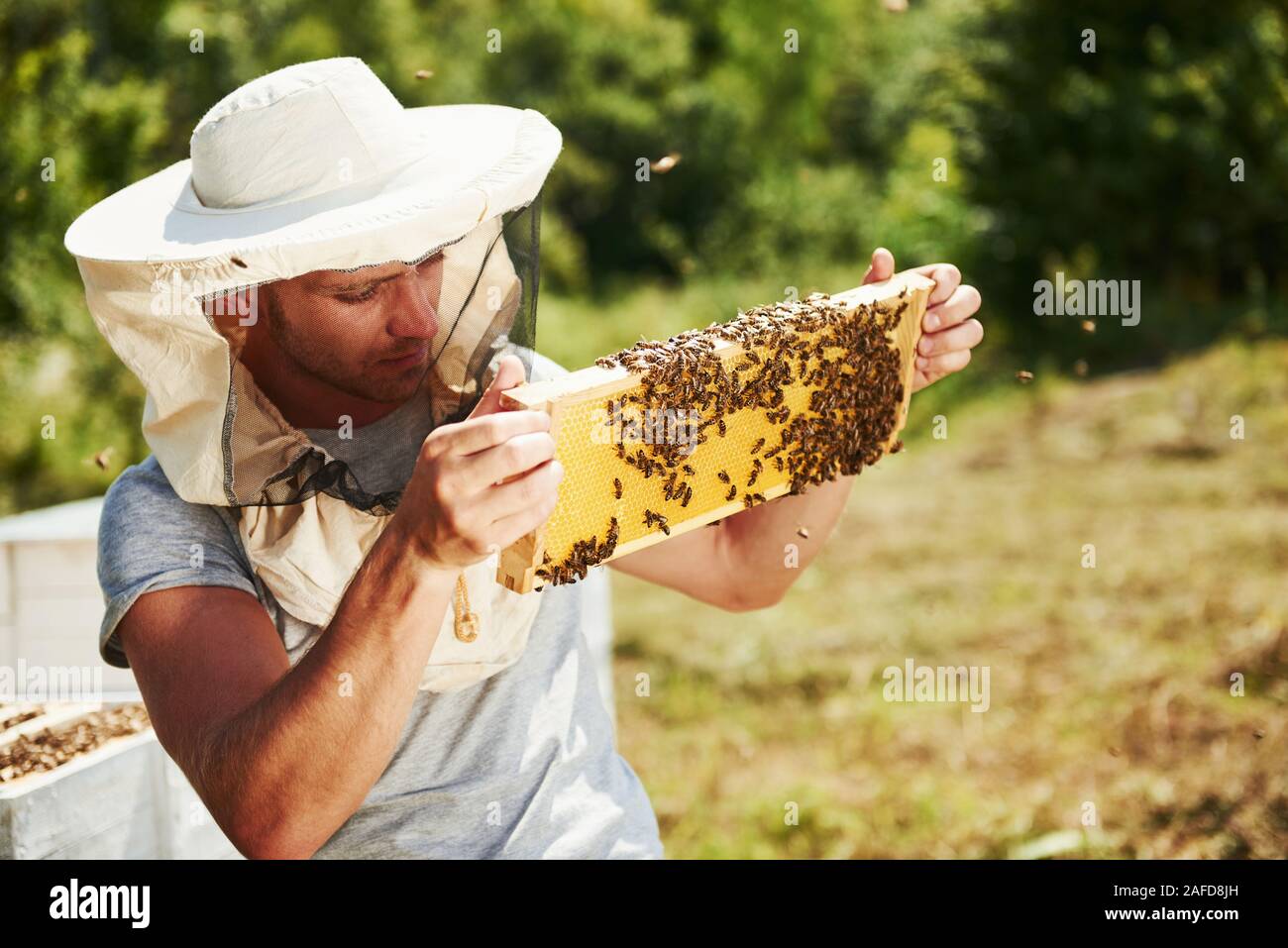 Beehive works hi-res stock photography and images - Alamy