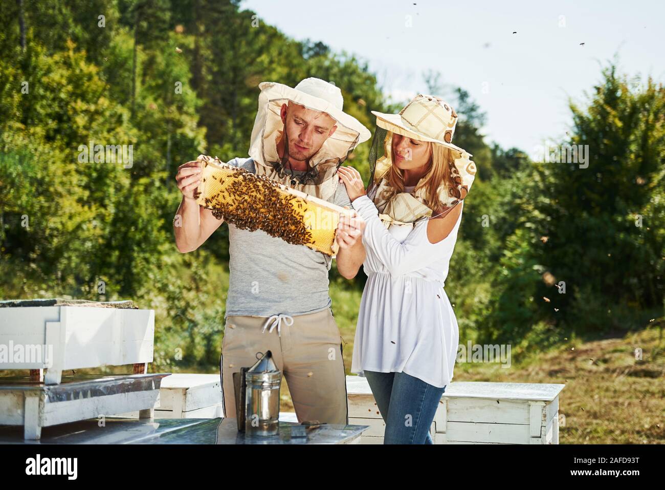 Two beekeepers works with honeycomb full of bees outdoors at sunny day ...