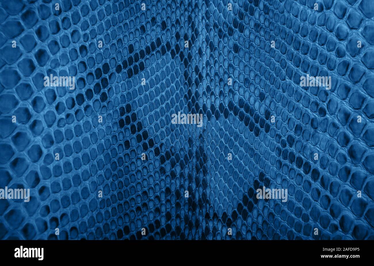 Snake skin pattern hi-res stock photography and images - Alamy