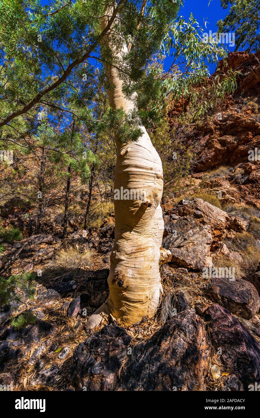 Redbank Gorge is a gap in the West MacDonnell Ranges in the Northern ...
